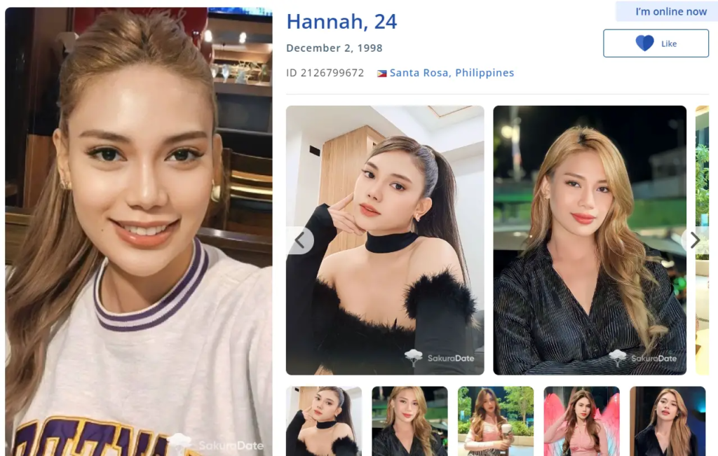 SakuraDate in 2023: Unbiased Review and User Opinions